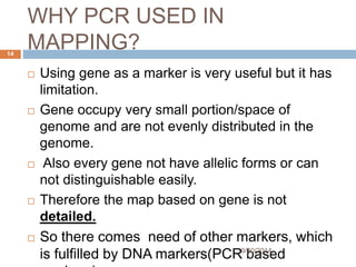 genome Mapping by pcr | PPTX | Chemistry | Science