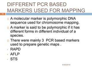 Mapping by pcr | PPT