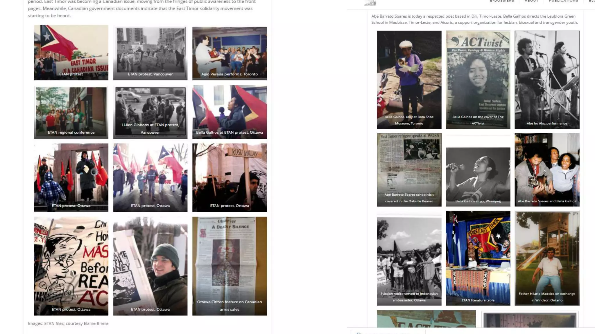 Mapping canadian solidarity activism | PPTX
