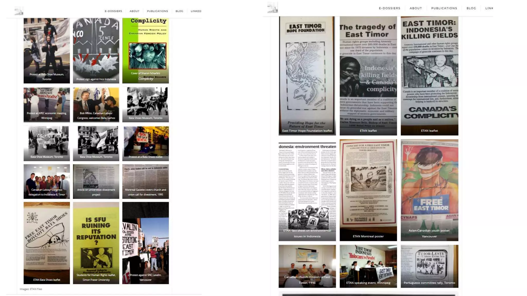 Mapping canadian solidarity activism | PPTX