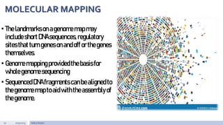 MOLECULAR MAPPING Of AROMATIC GENES IN RICE | PPTX