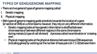 MOLECULAR MAPPING Of AROMATIC GENES IN RICE | PPTX