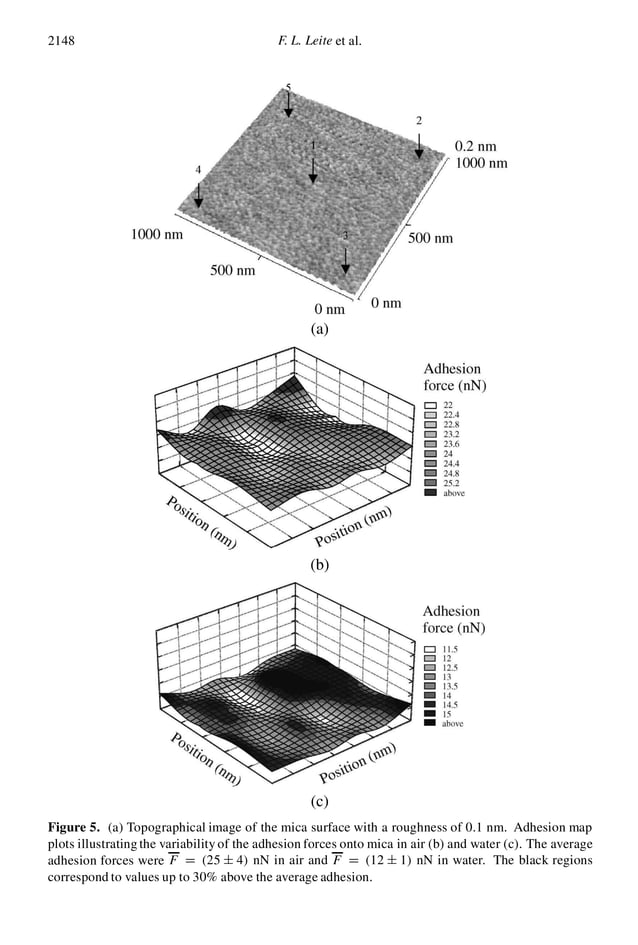 Mapping of adhesion forces on soil minerals in air and water by afs ...
