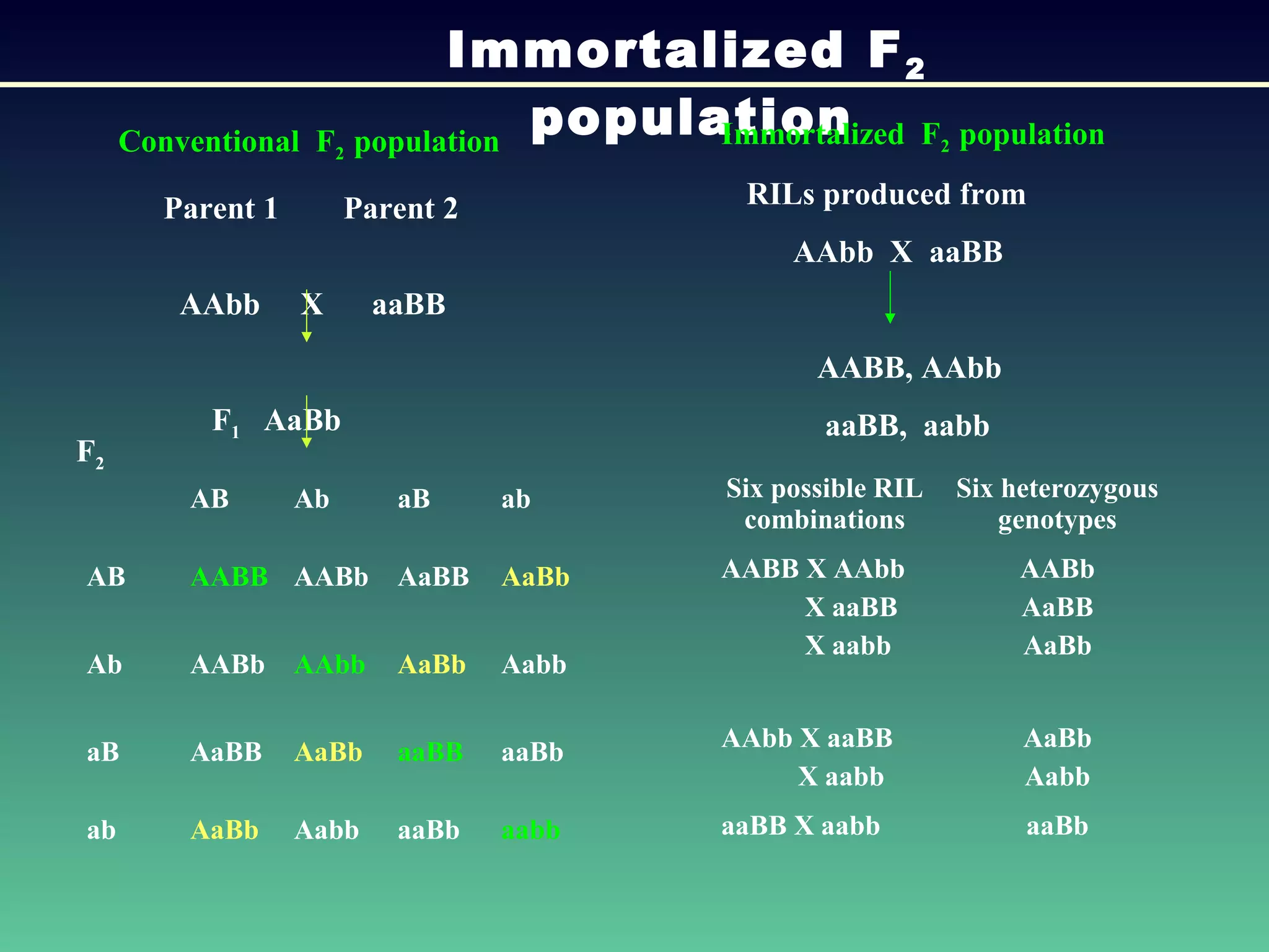 Development of mapping population for linkage analysis in ornamental ...