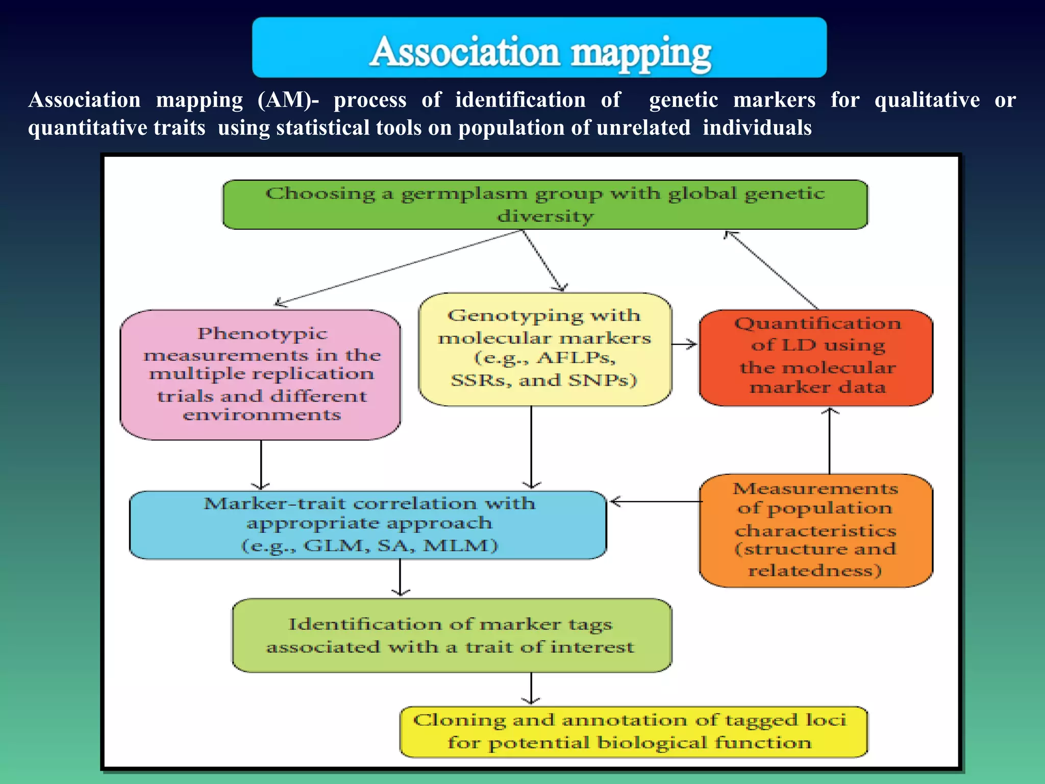 Development of mapping population for linkage analysis in ornamental crops | PPT