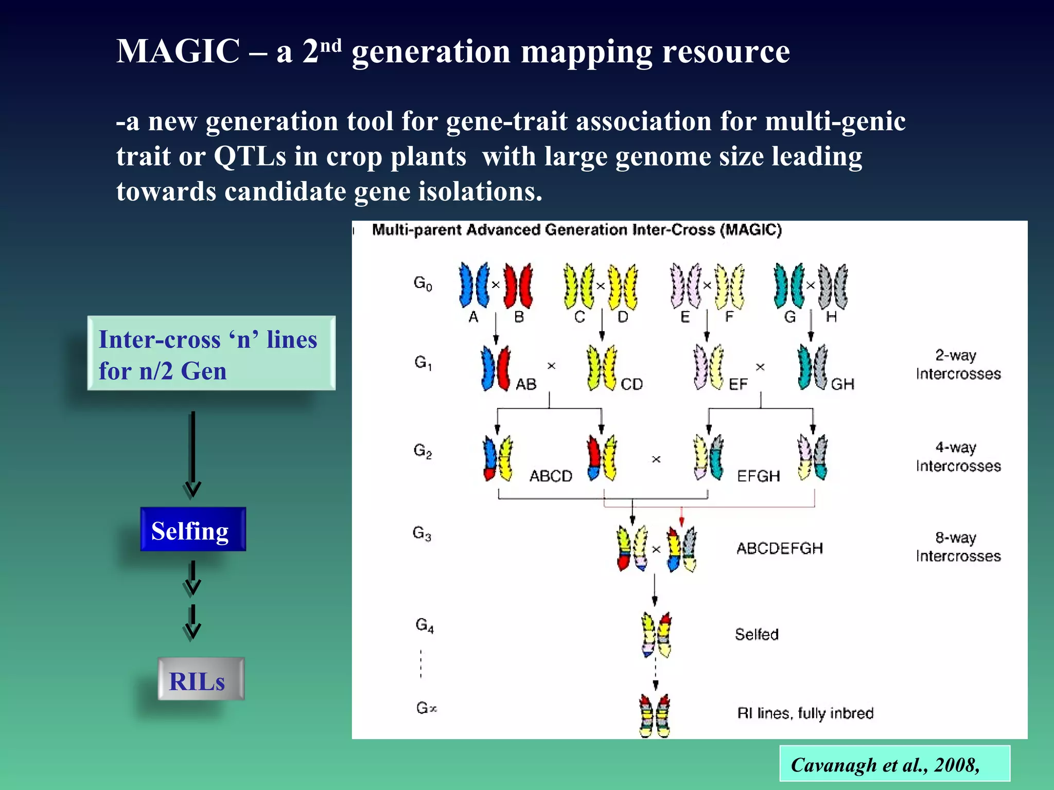 Development of mapping population for linkage analysis in ornamental ...