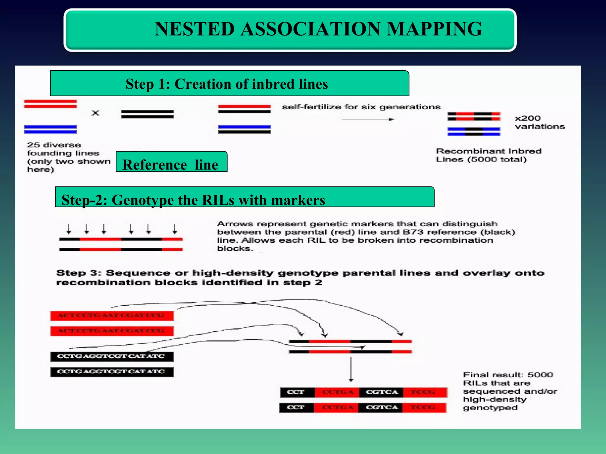 Development of mapping population for linkage analysis in ornamental crops | PPT