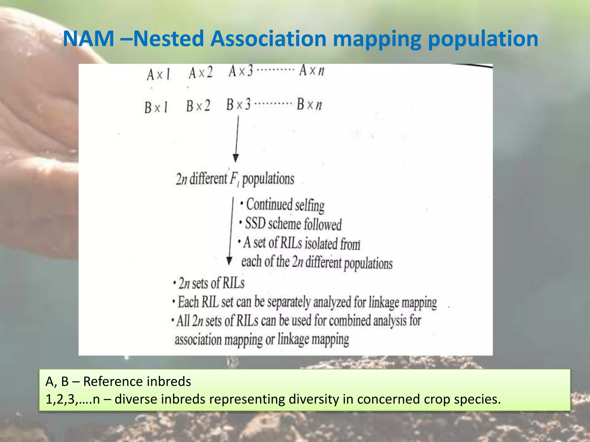 Mapping population | PPTX
