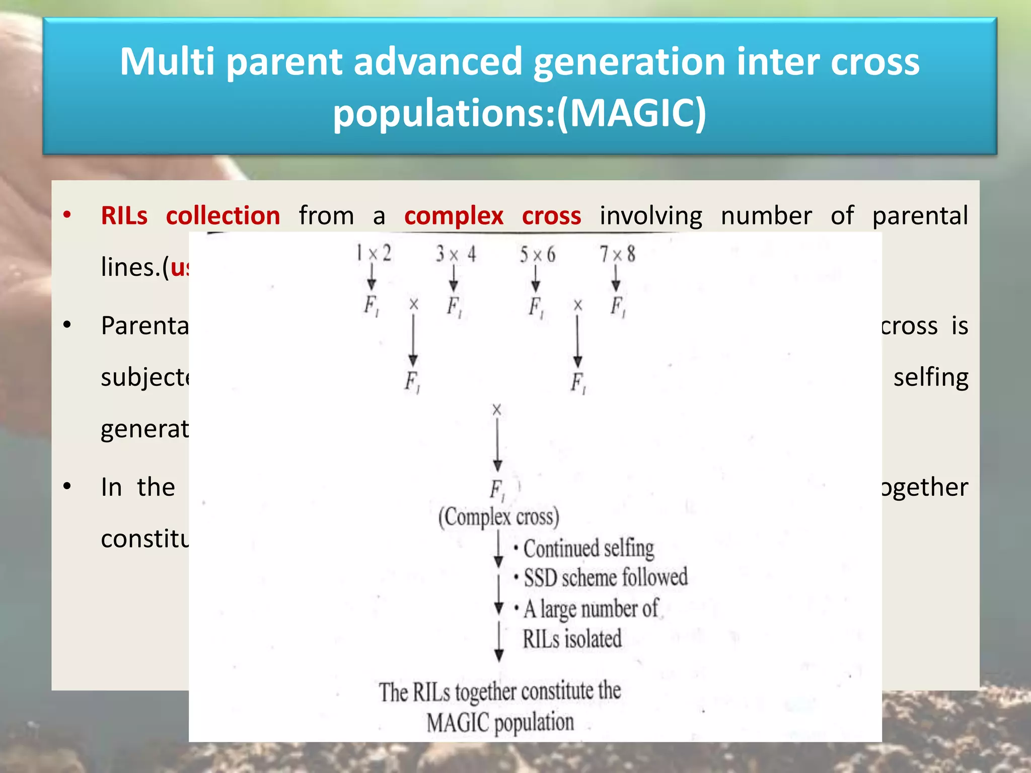 Mapping population | PPTX