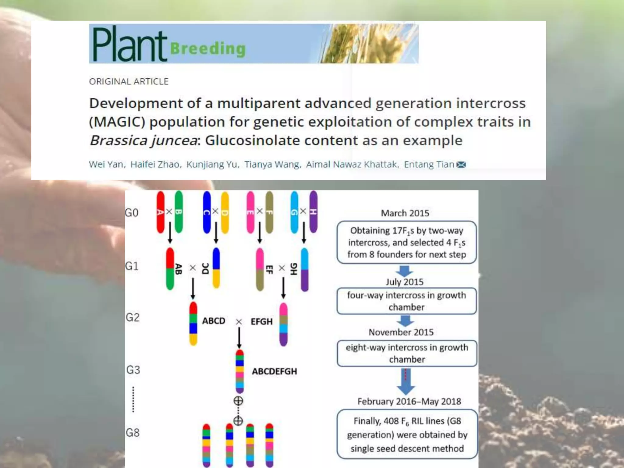 Mapping population | PPTX