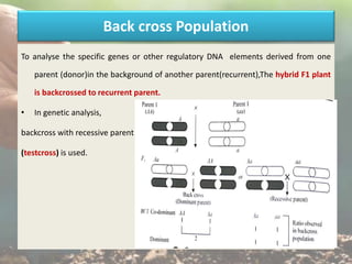Mapping population | PPTX | Genealogy and Ancestry | Hobbies & Interests