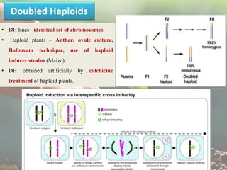 Mapping population | PPTX | Genealogy and Ancestry | Hobbies & Interests