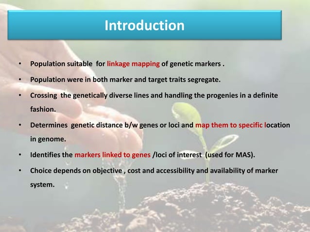 Mapping population | PPTX | Genealogy and Ancestry | Hobbies & Interests