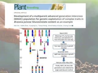 Mapping population | PPTX | Genealogy and Ancestry | Hobbies & Interests