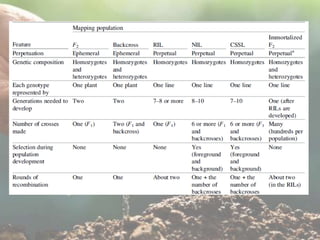 Mapping population | PPTX