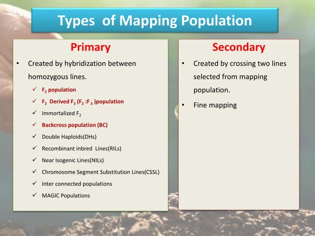 Mapping population | PPTX | Genealogy and Ancestry | Hobbies & Interests