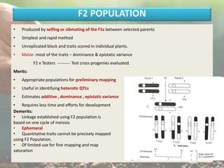 Mapping population | PPTX