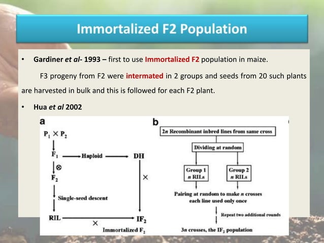 Mapping population | PPTX | Genealogy and Ancestry | Hobbies & Interests