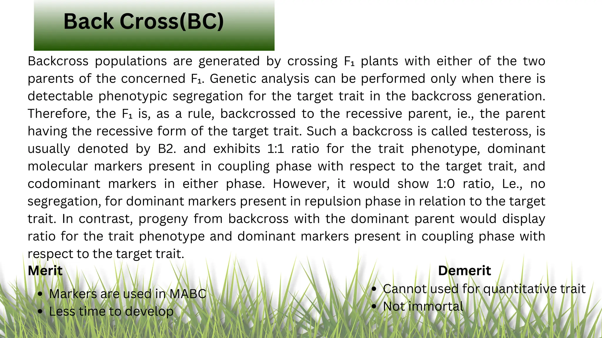 Mapping Population.pdf