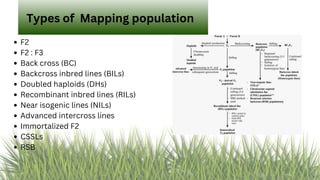 Mapping Population.pdf
