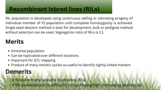 Mapping Population.pdf