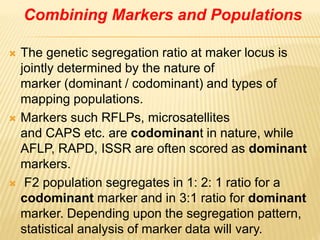 Mapping population ppt | PPTX