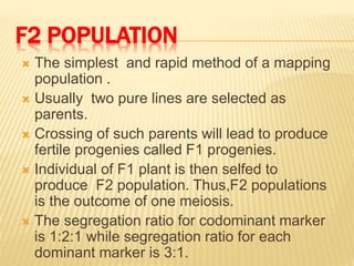 Mapping population ppt | PPTX