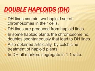 Mapping population ppt | PPTX