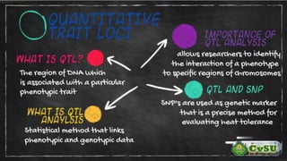 What is Quantitative Trait Loci (QTL) | PPTX