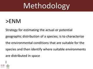 Applications of ecological niche modelling for mapping the risk of Rift ...