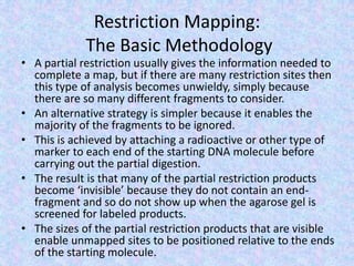 Mapping the bacteriophage genome | PDF