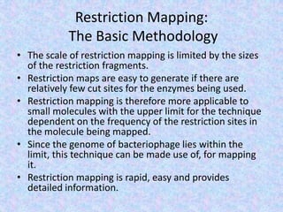Mapping the bacteriophage genome | PDF