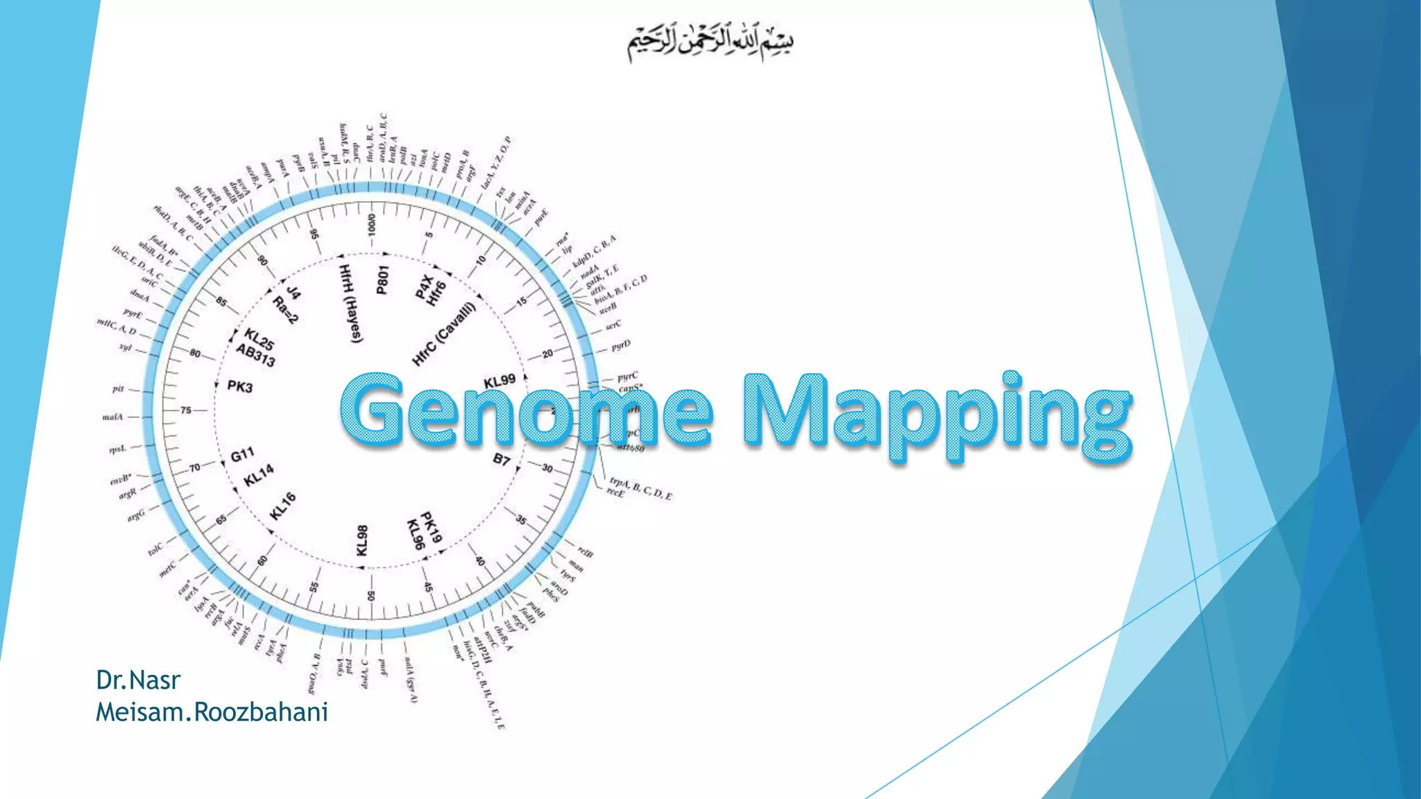 Mapping the genome of bacteria | PPTX