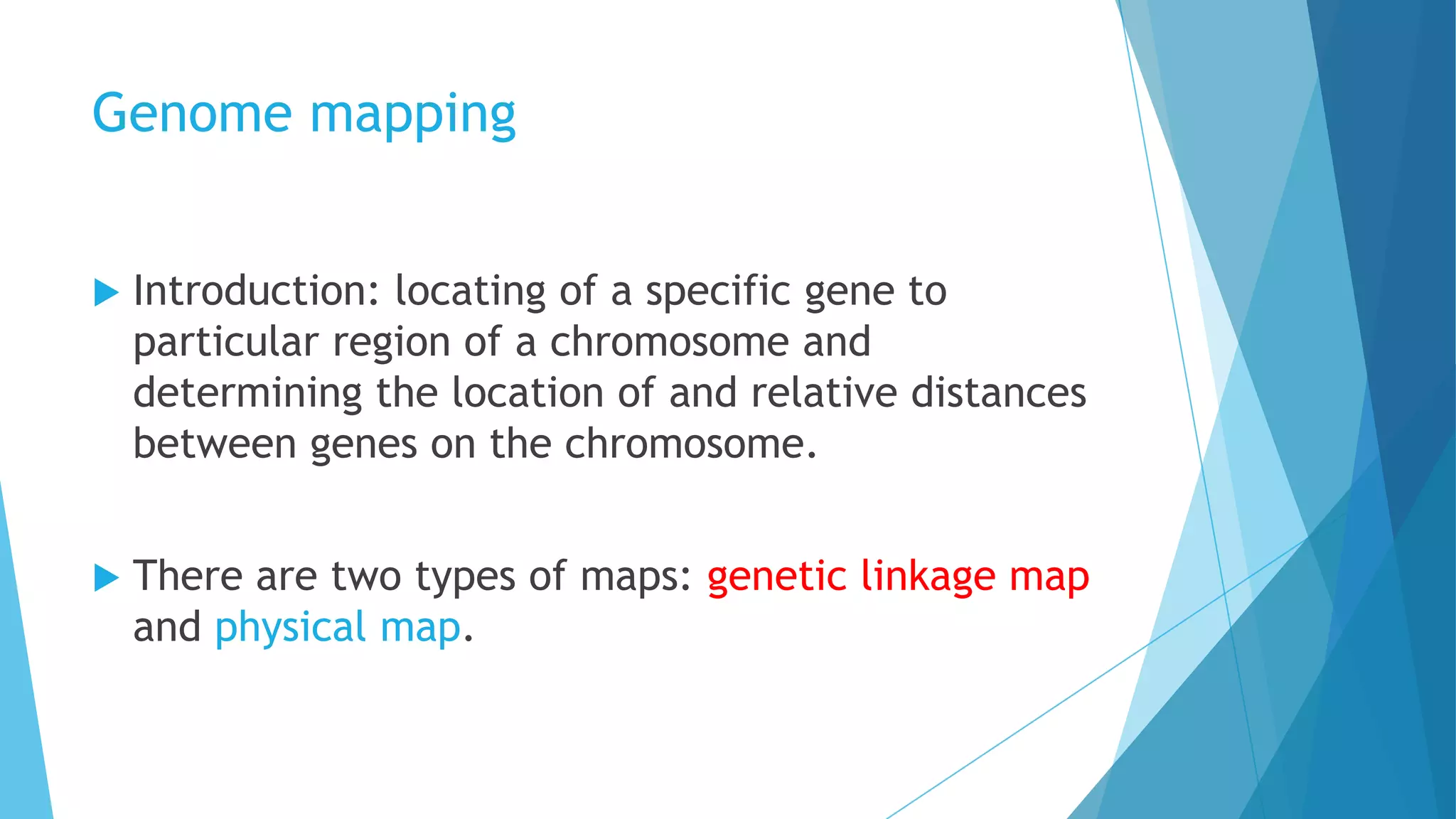 Mapping the genome of bacteria | PPTX