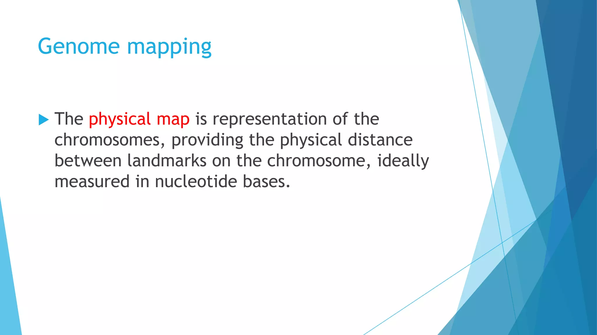 Mapping the genome of bacteria | PPTX