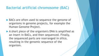 Mapping the genome of bacteria | PPTX