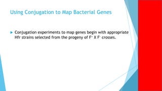 Mapping the genome of bacteria | PPTX