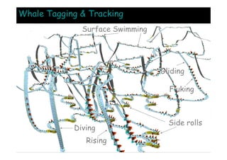 Mapping Tools to Support Protected Area Management | PDF | Scuba Diving ...