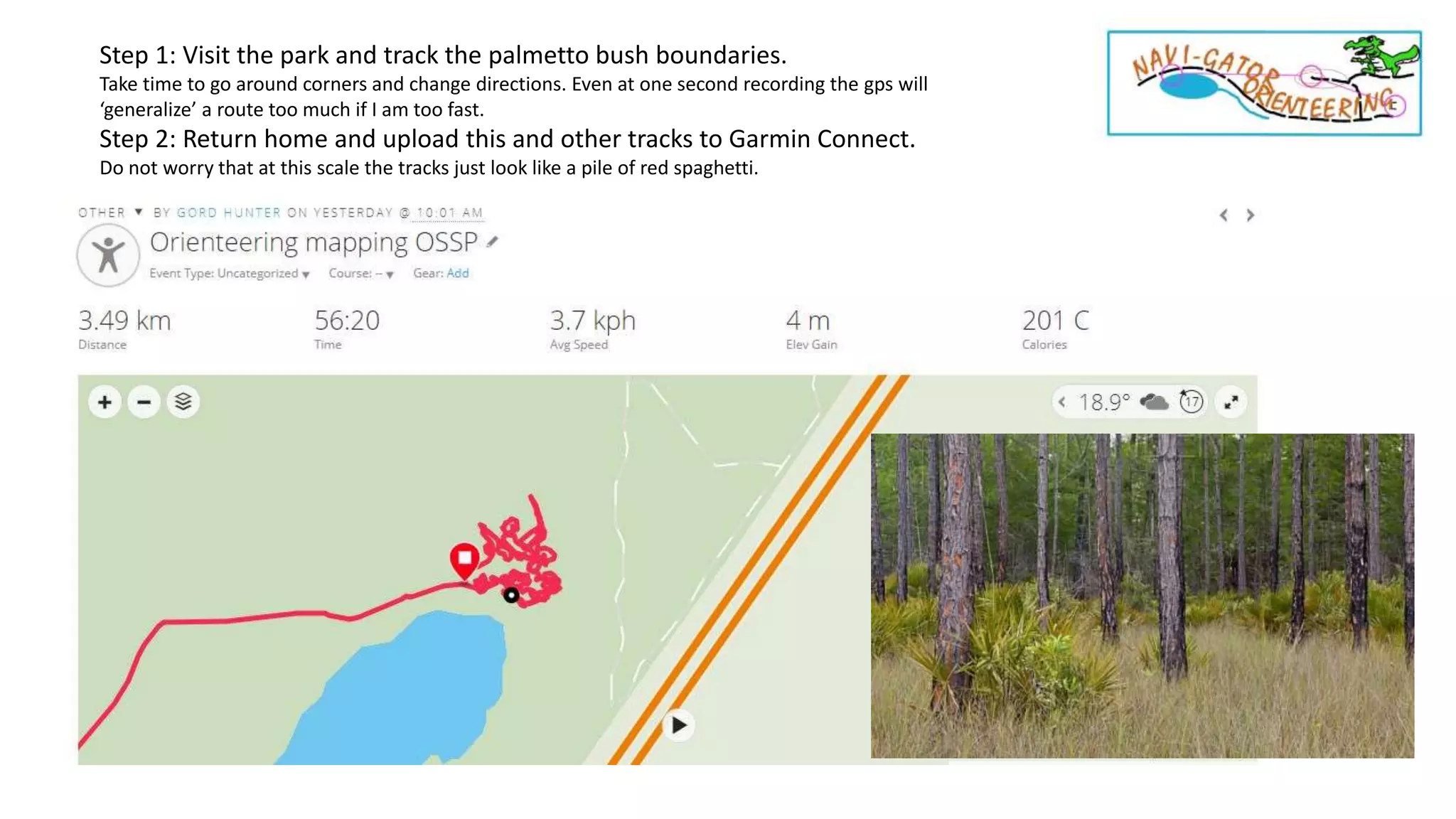 Orienteering Mapping Using a GPS Watch | PPTX | Maps & Navigation