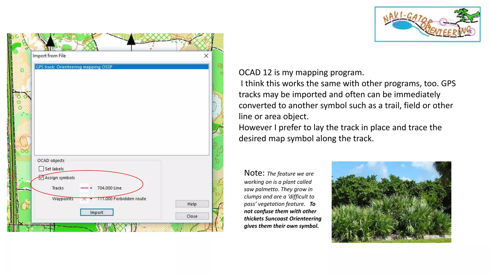 Orienteering Mapping Using a GPS Watch | PPTX | Maps & Navigation