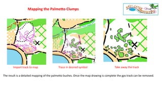 Orienteering Mapping Using a GPS Watch | PPTX | Maps & Navigation