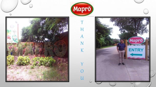 Mapro Foods Internship PPT | PPTX | Sales | Business