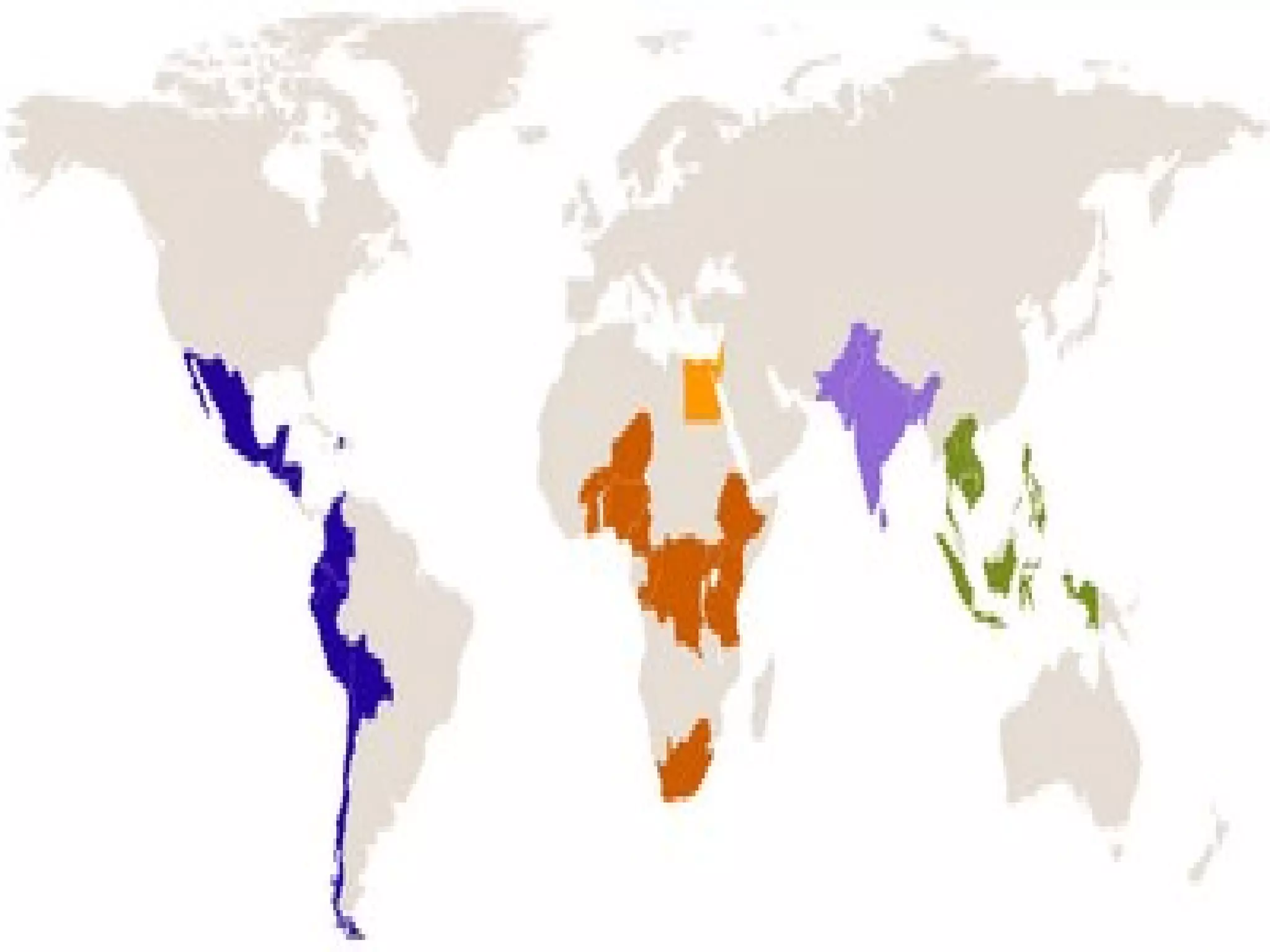 Maps-Fairtrade Activity One | PPT