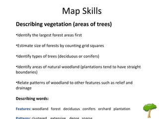 Map skills | PPT