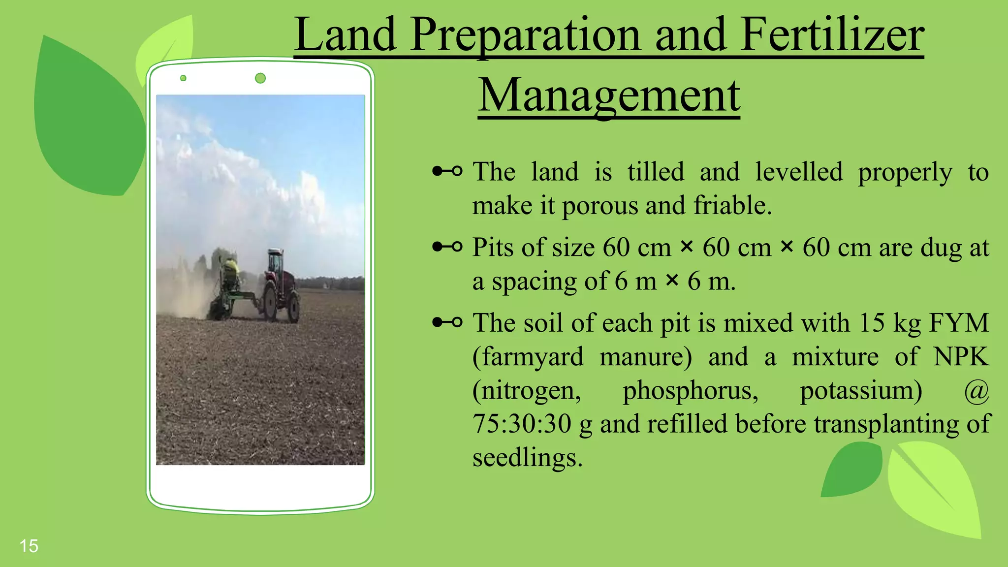 Terminalia chebula (Harro) | PPTX