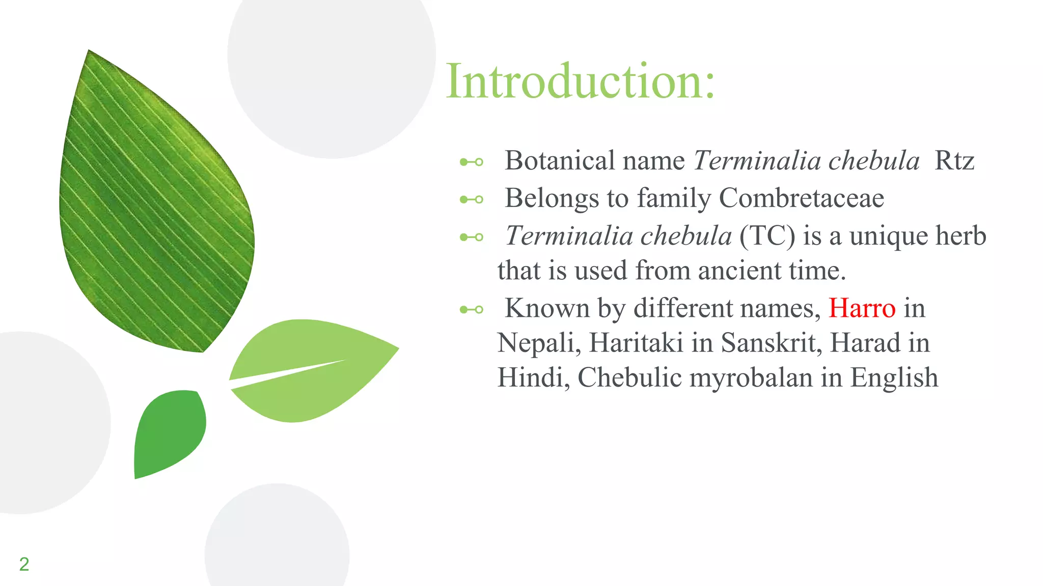 Terminalia chebula (Harro) | PPTX