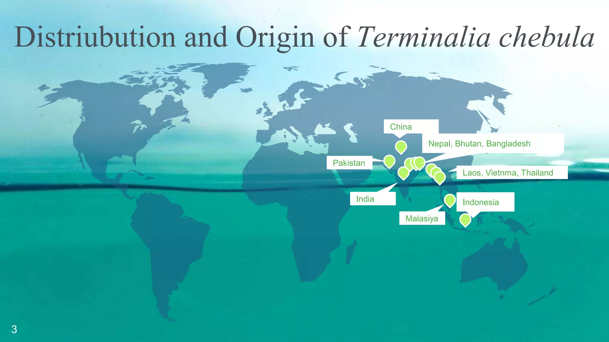Terminalia chebula (Harro) | PPTX