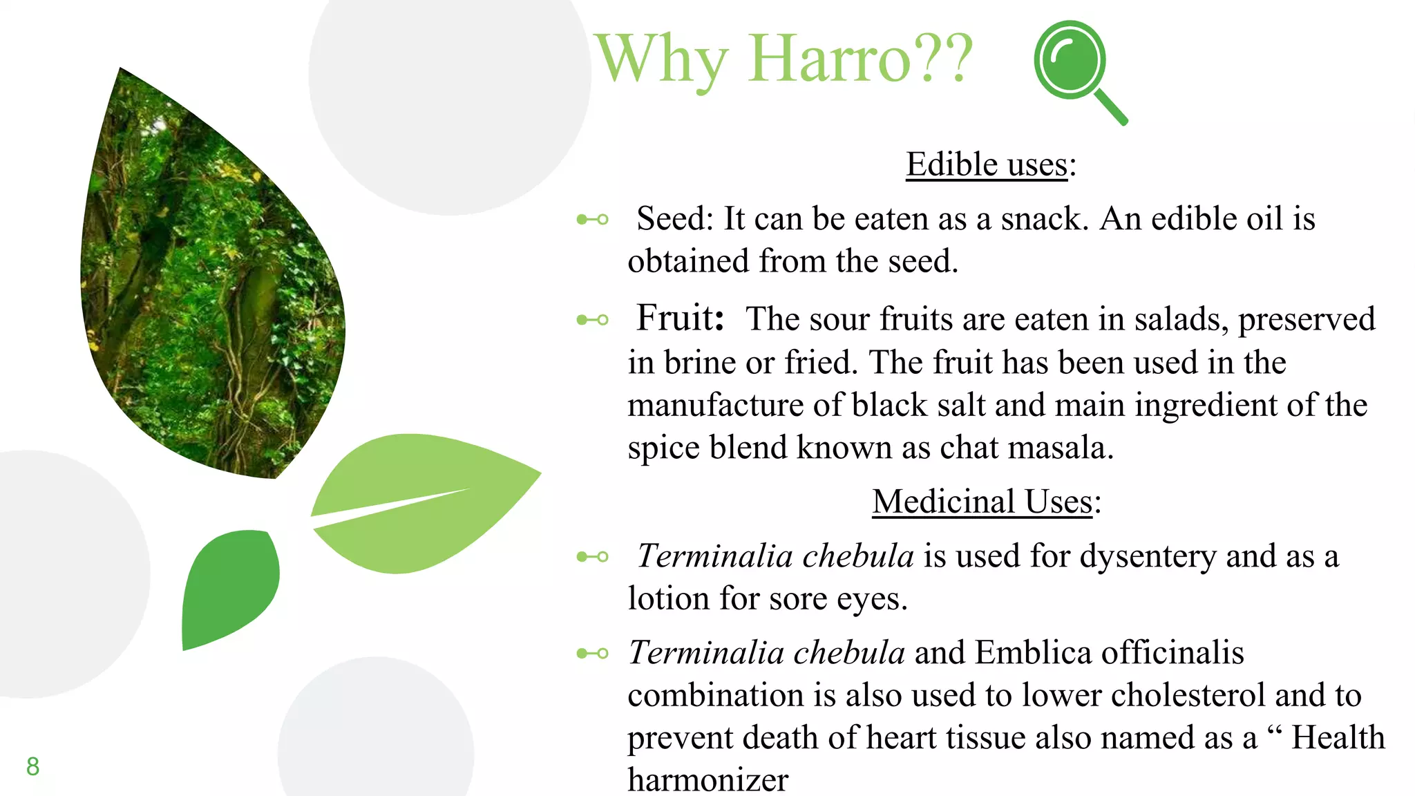Terminalia chebula (Harro) | PPTX