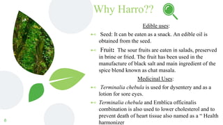 Terminalia chebula (Harro) | PPTX