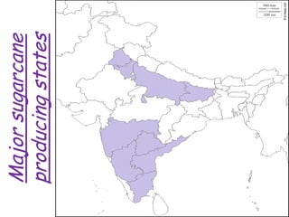 Map syllabus (10).pdf